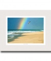 Wading for Treasure - Miller Pope - Islands Art & Bookstore