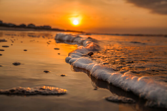 Golden Wave by Dwayne Schmidt - Islands Art & Bookstore